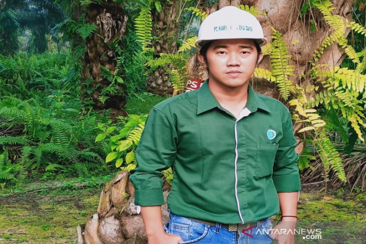 Pemuda Lung Melah yang berharap kelapa sawit terus memberikan ...