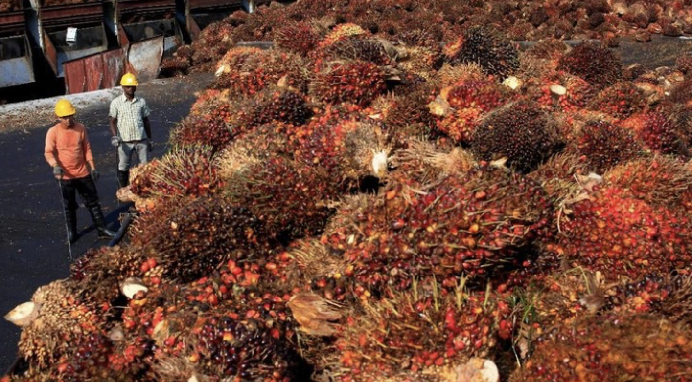 RI Naikkan Alokasi B30, Harga CPO Nanjak ke MYR 4.216/Ton – Astra Agro ...
