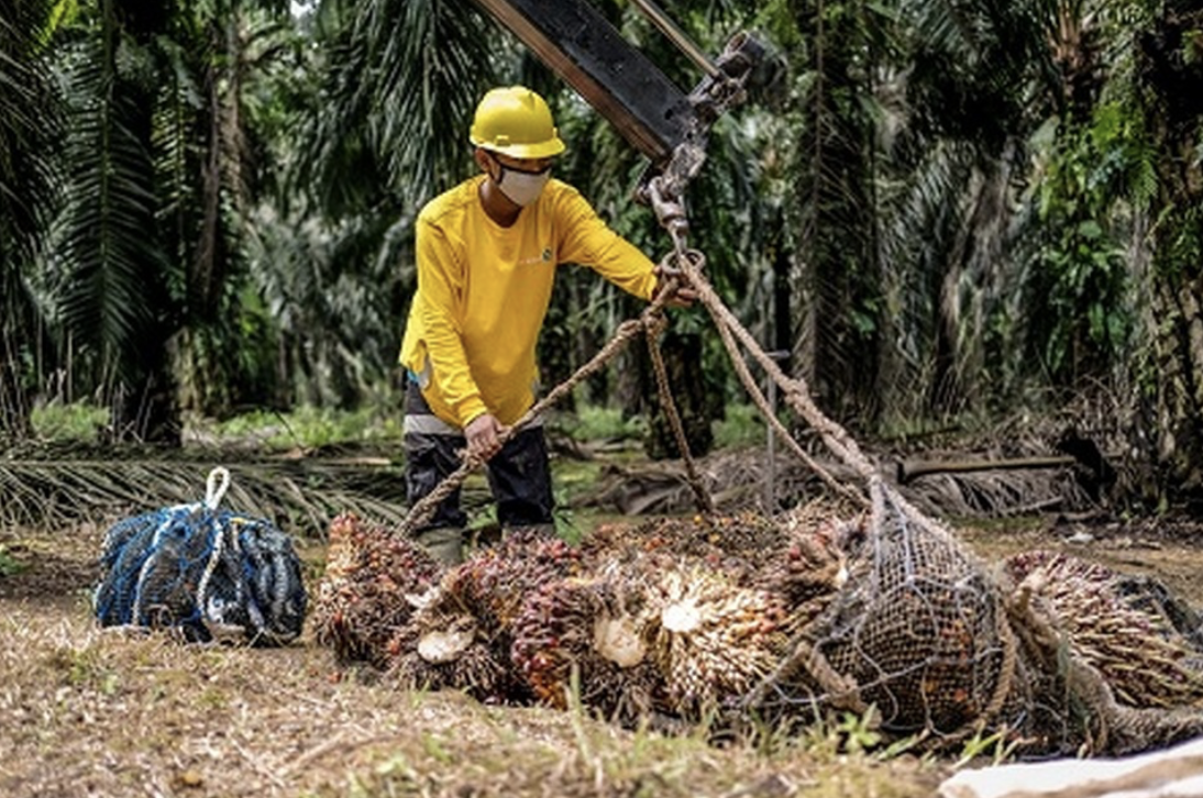 November 21, 2023 – Astra Agro Lestari