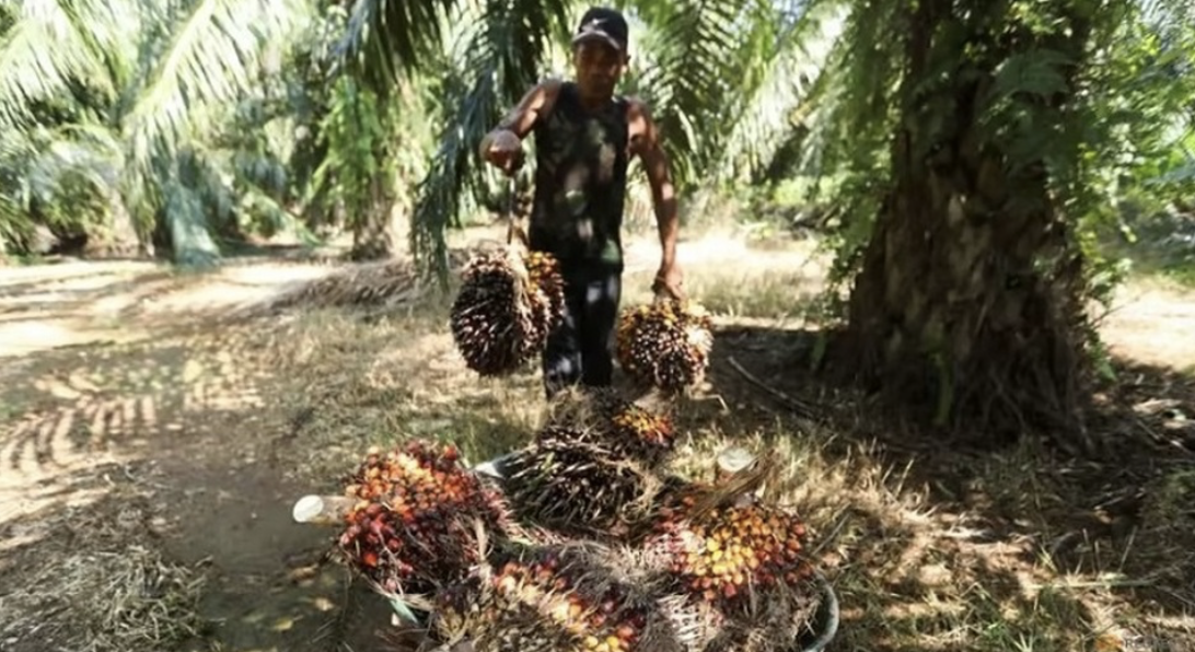 Desember 22, 2023 – Astra Agro Lestari