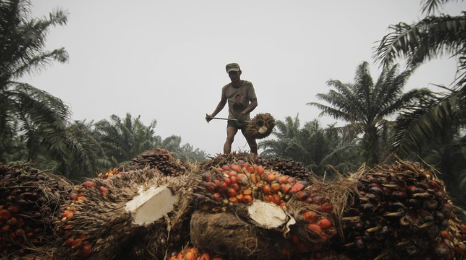 Astra Agro Getol Kerja Sama Riset Demi Hadapi Tantangan Industri Sawit – Astra Agro Lestari