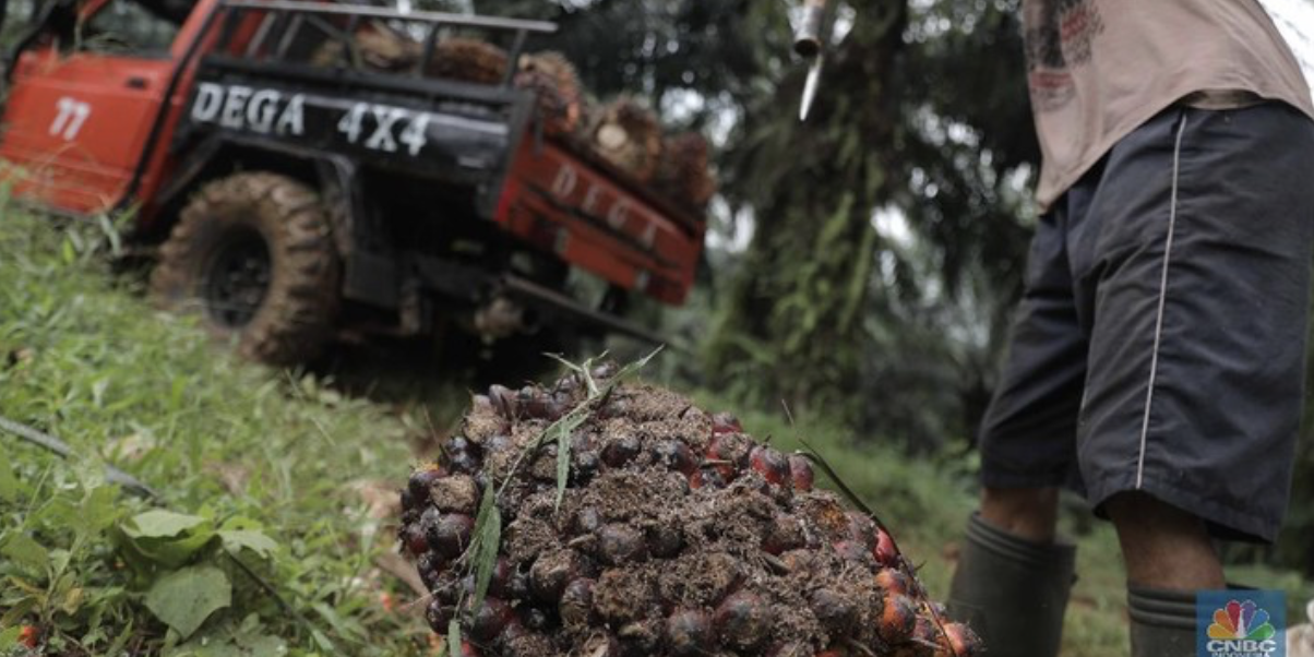 Harga CPO Bangkit, Masih Bisa Naik Lagi – Astra Agro Lestari