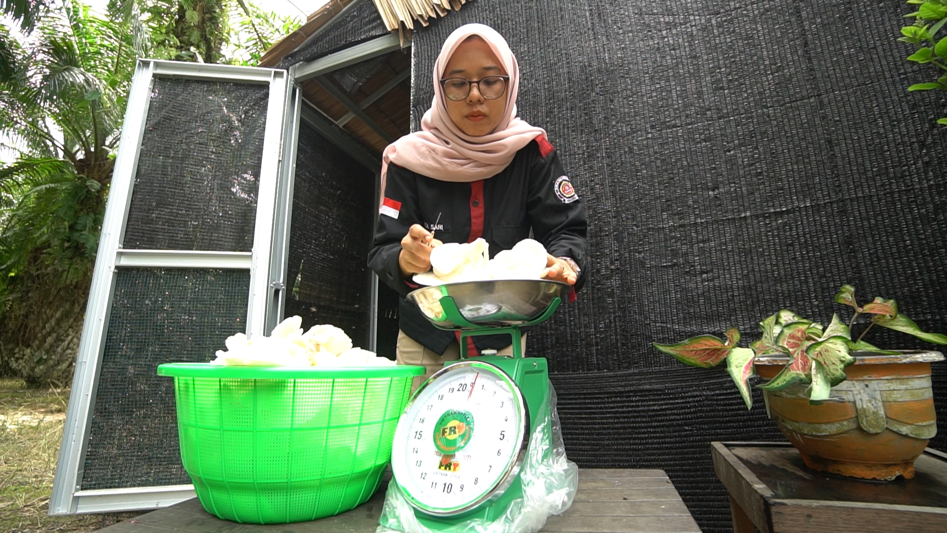 Juli 9, 2025 – Astra Agro Lestari